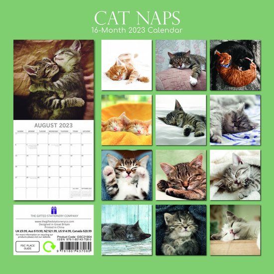 Cat Naps Kalender 2023 | bol.com