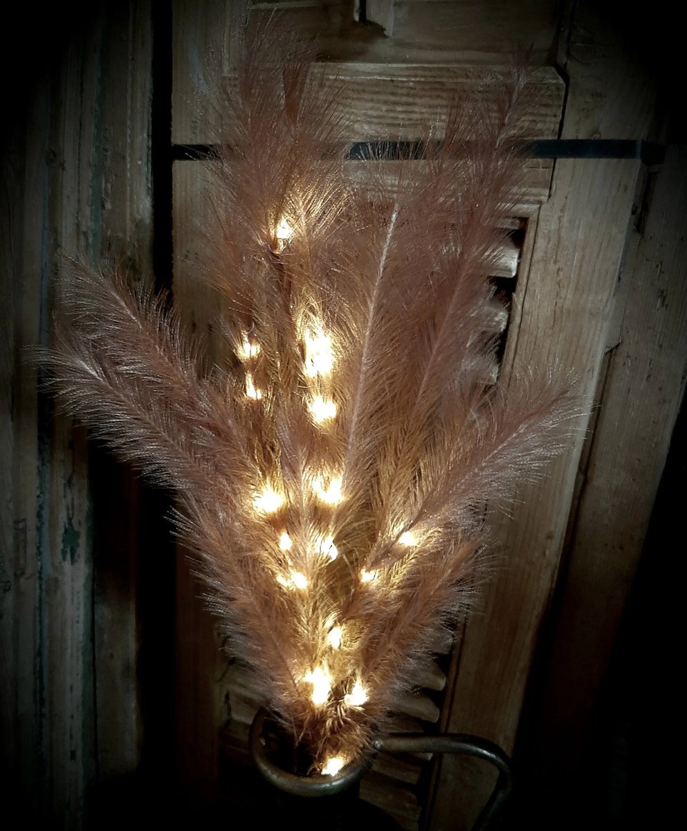 Set van 2 sfeervolle decoratie pluimen / takken oud roze met led ...