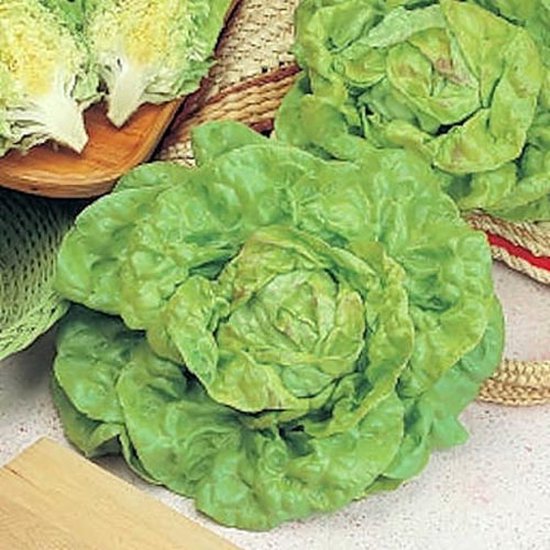 Sla zaden - Kropsla Meikoningin | bol