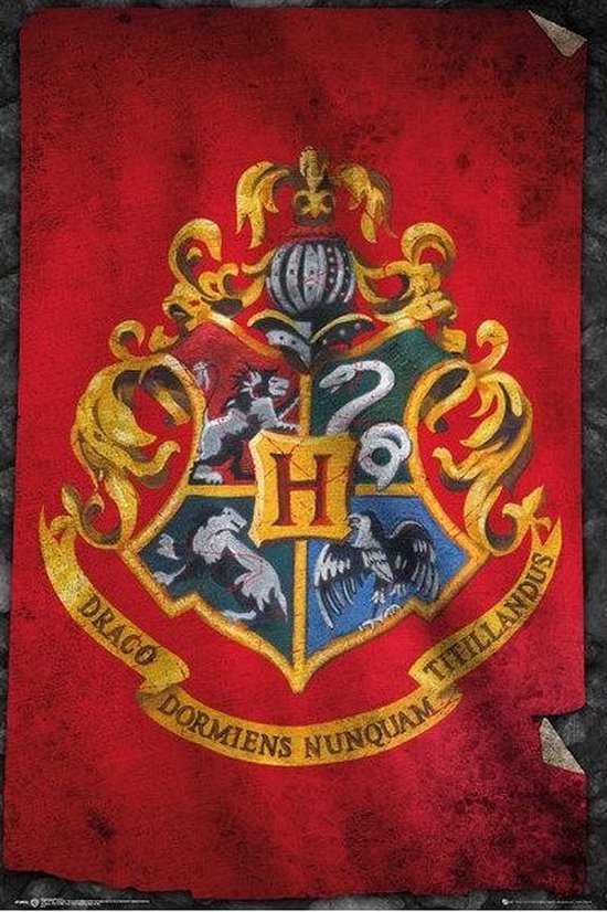 Harry Potter - Poster 61X91 - Hogwarts Flag | bol
