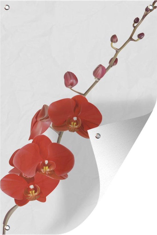 Tuinposters buiten Een vector tekening van een rode orchidee - 60x90 cm ...
