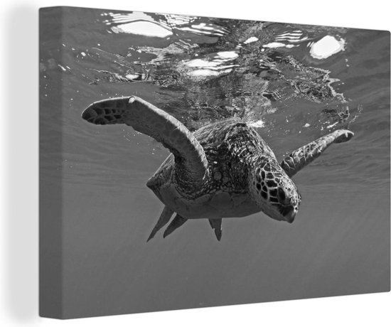 Canvas schilderij 140x90 cm - Wanddecoratie Schildpad duikt in water in zwart-wit -... | bol