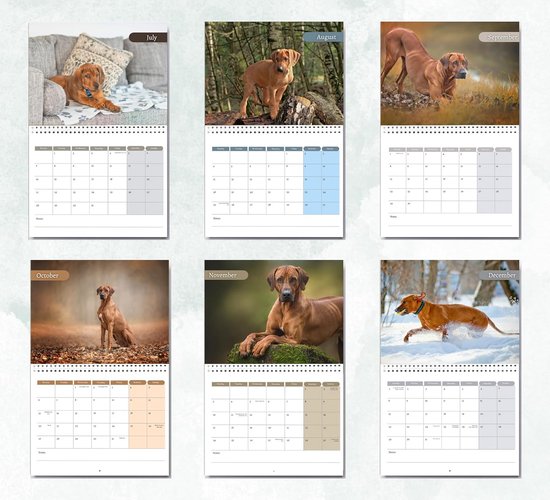 Hondenkalender 2026: Maandkalender met Lijst voor Notities, A4 Formaat ...
