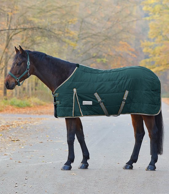 ECONOMIC Stable Rug, 200 G | bol