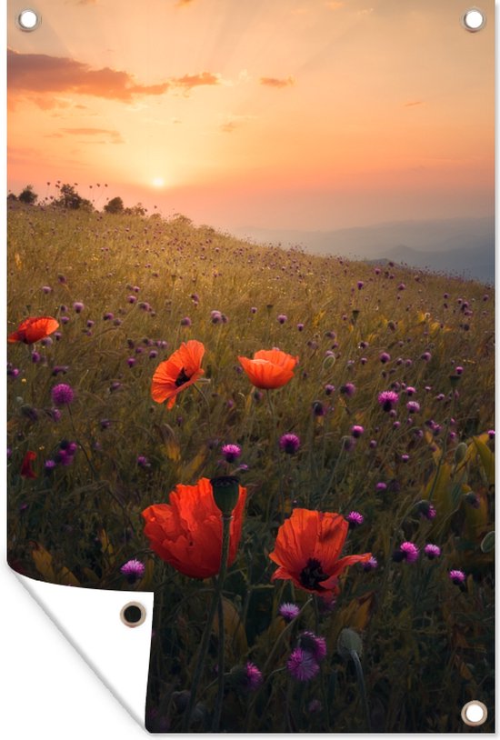 Posters de jardin extérieur Bloemenveld - Herbe - Fleurs - Plantes ...