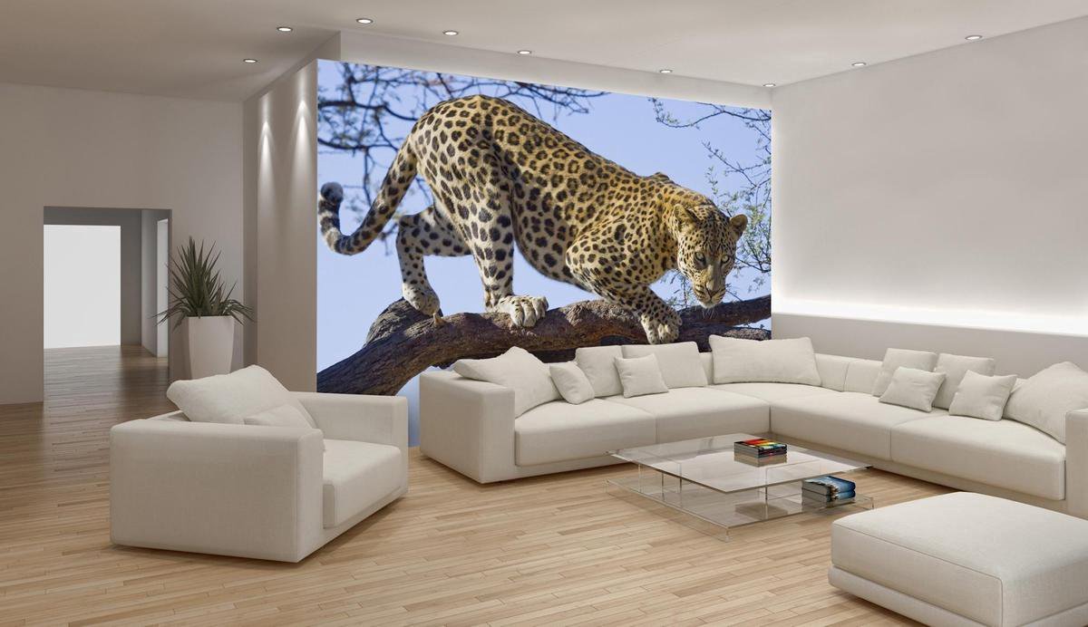 Fotobehangkoning - Behang - Fotobehang - Luipaard - Jaguar - Panter - Cheetah -... | bol.com