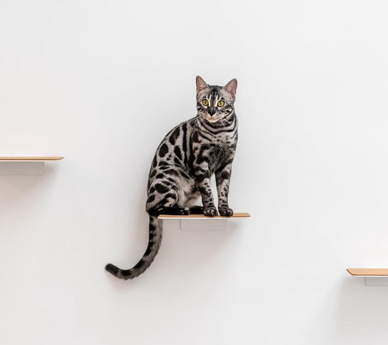 Kattentrap, set van 3, groot, modern design van metaal, klimwand voor ...