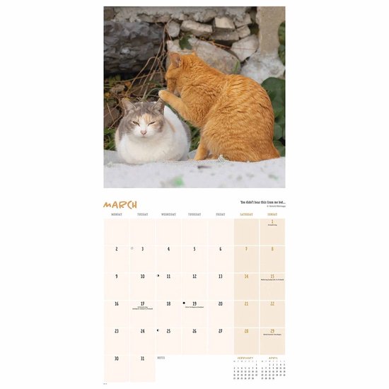 Comedy Pet Kalender 2026 | bol
