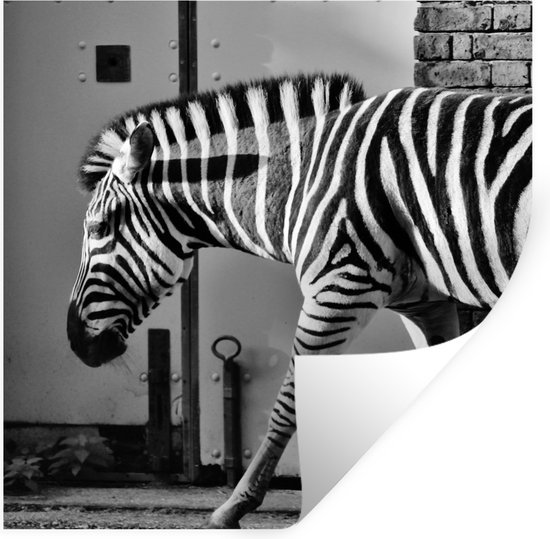 Muurstickers - Sticker Folie - Zebra - Muur - Deur - Dieren - Zwart wit - 120x120 cm -... | bol