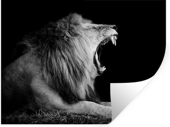 Muurstickers - Sticker Folie - Leeuw - Wilde dieren - Gras - Zwart - Wit - 40x30 cm -... | bol
