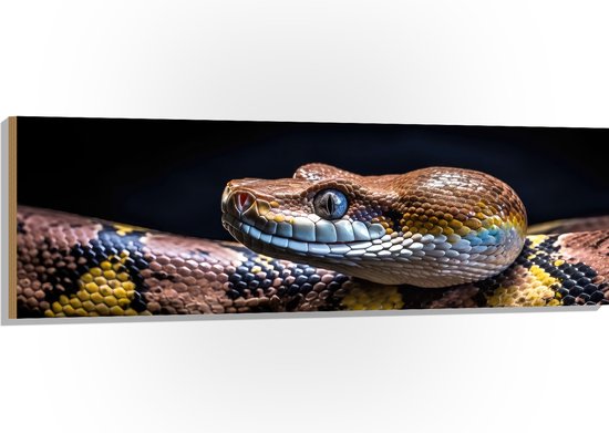 Hout - Python - Dier - Slang - Kleuren - 150x50 cm - 9 mm dik - Foto op ...