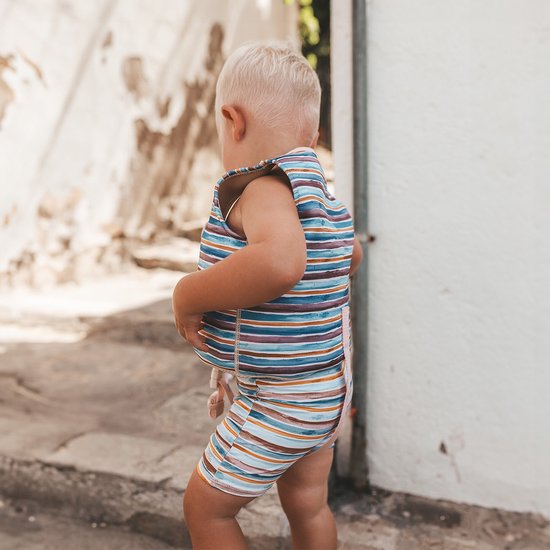 Dyed Stripe | Scott | bol