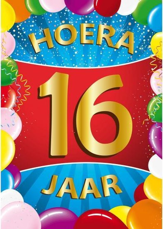 2x stuks 16 jaar mega poster / deurposter - 59 x 84 cm - leeftijd ...