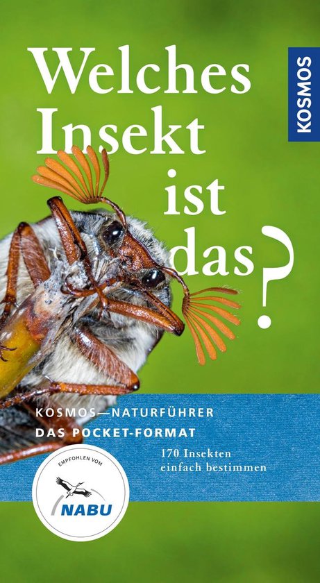 Welches Insekt ist das? (ebook), Heiko Bellmann | 9783440164587 ...