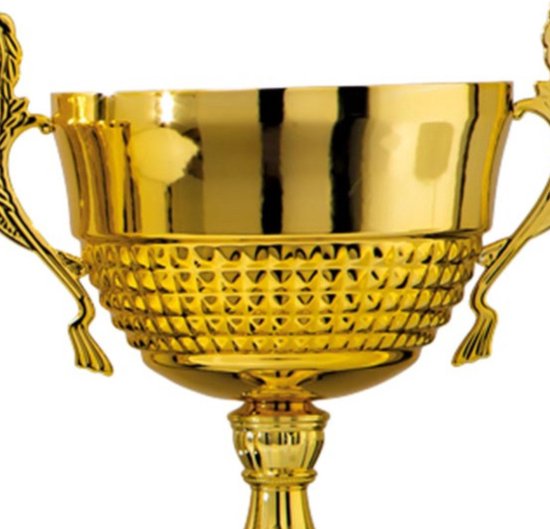 Trofee/bokaal - goud - oren - kunststof - 36 x 18 cm - sportprijs | bol