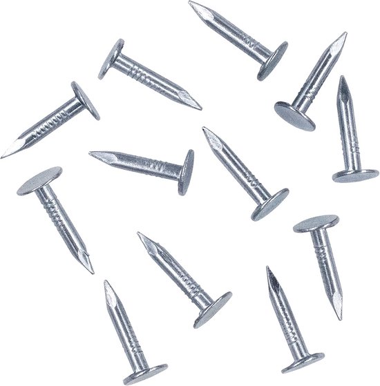 Dakleer Spijkers 300 Stuks - Verzinkt - 3x20mm - Breedkop - Voor ...
