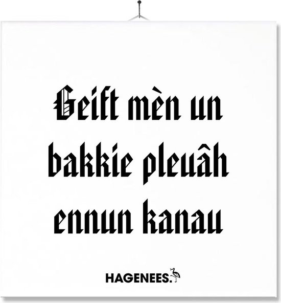 Tegel Met Opdruk | Haagse tekst | bol