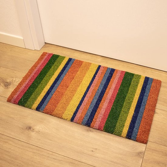 Doormat for Entrance / Entrance Area (Coloured Lines) | bol