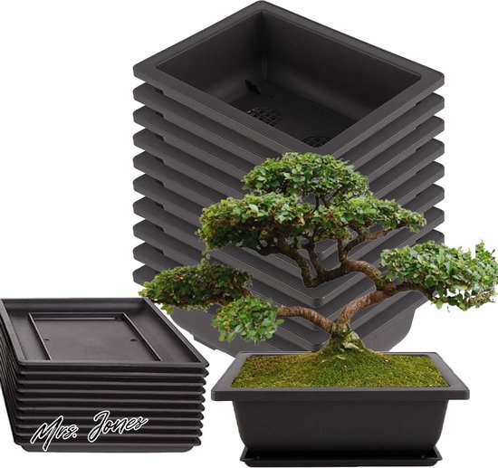 Mrs. Jones 10 stuks bonsai trainingspotten - 23 x 17 cm - bonsai-potten ...