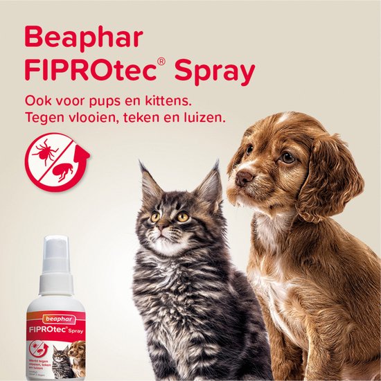 Beaphar Fiprotec Spray - Tegen vlooien, teken & luizen voor hond en kat ...