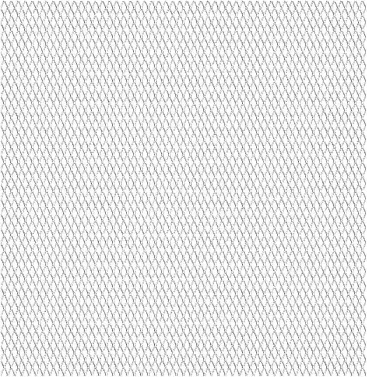 VDXL Draadhek 100x85 cm 20x10x2 mm roestvrij staal | bol.com