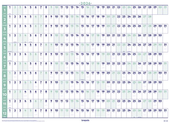 Brepols JAARPLANNER 2026 [1.853] - Jaar planner - Posterformaat - 82 x ...