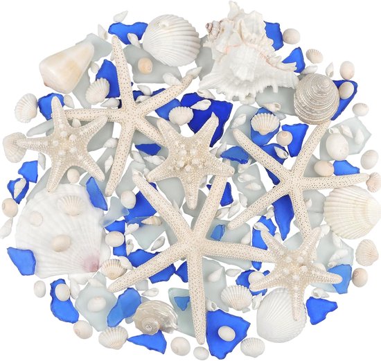Decoratieve schelpen en zeesterren - Natuurlijke decoratie - 10 stuks | bol