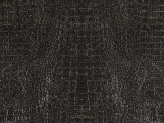 BN Curious zwart kroco behang croco | bol