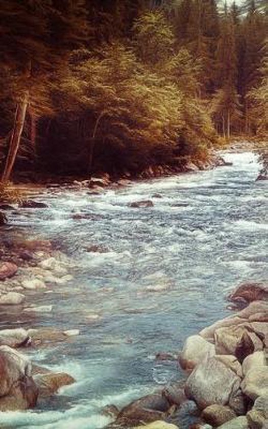 Notebook, Wild Pages Press | 9781691098873 | Boeken | bol.com