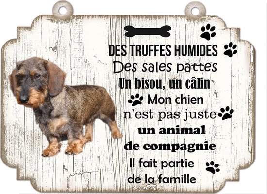 Tableau Déco - Teckel À Poil Dur | bol.com