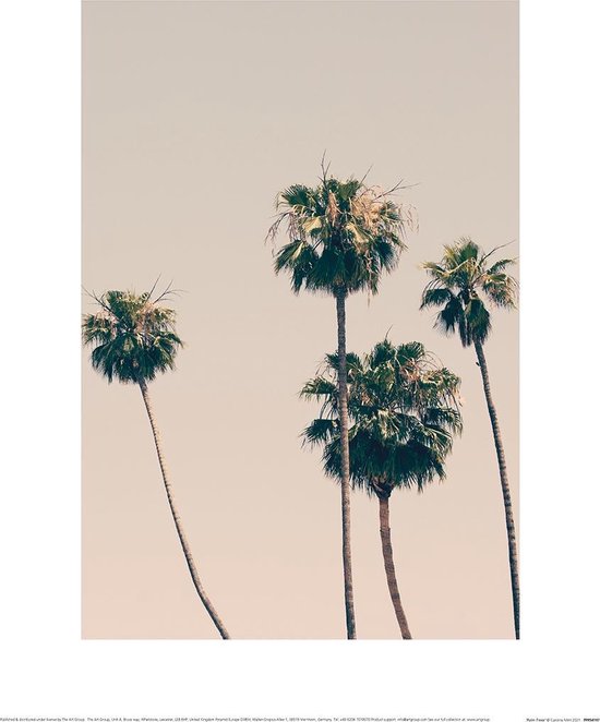 Poster - Caroline Palm Trees - 40 X 30 Cm - Groen | bol.com