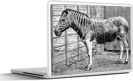 Laptop sticker - 14 inch - vintage tekening van Quagga in gevangenschap ...