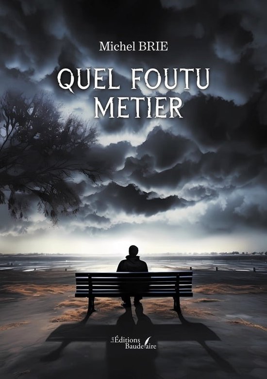 Quel foutu métier (ebook), Brie Michel | 9791020361356 | Boeken | bol