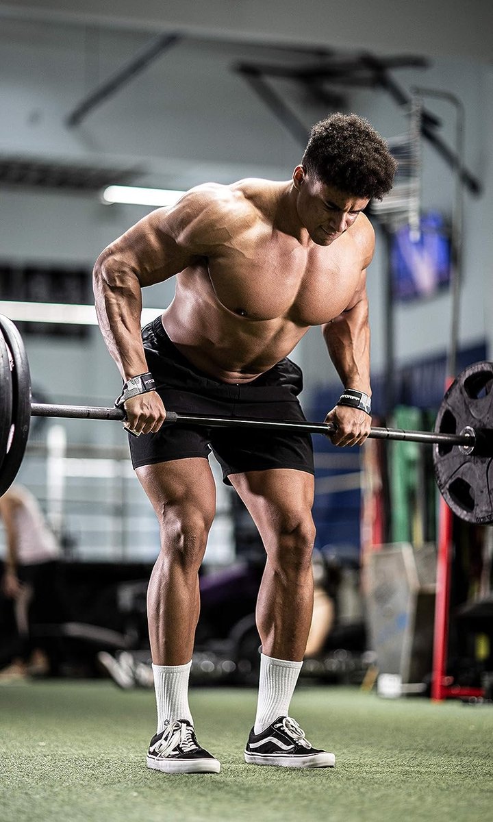 Profi Lifting Strips [bekleed] 60 cm voor krachttraining, bodybuilding ...