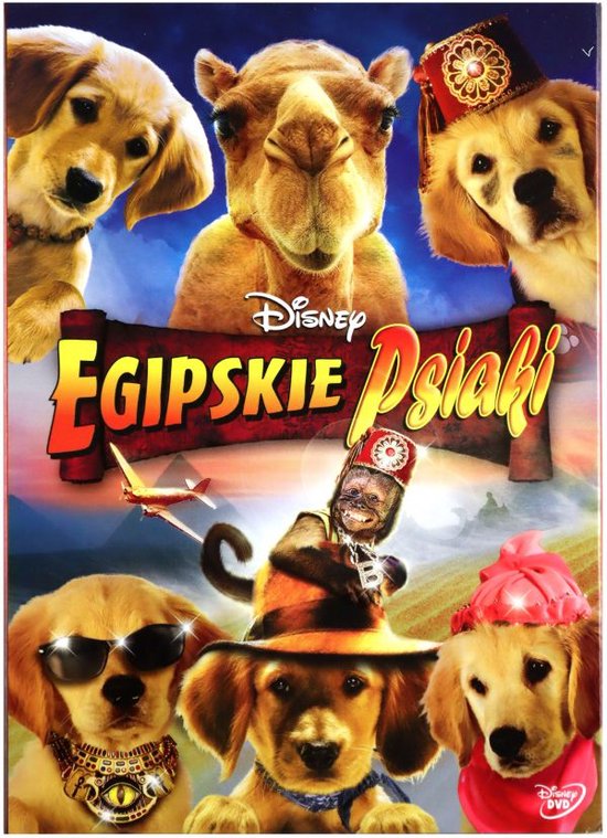 Treasure Buddies [DVD] (Dvd), Edward Herrmann | Dvd's | bol