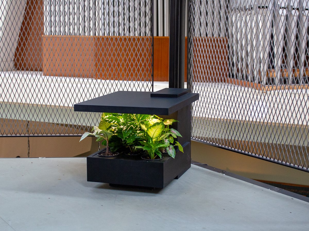 Pluk One Vege-Table - Zwart | De ultieme indoor gardening ervaring ...