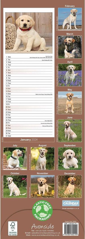 Labrador Retriever Kalender Blond 2024 Slimline | bol