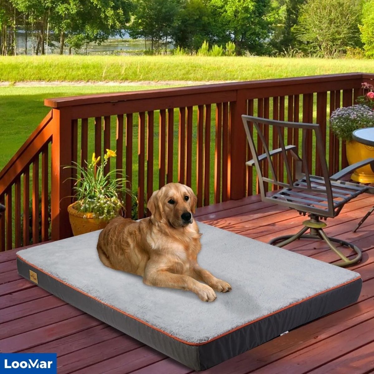 LooMar Hondenbed - Hondenbank - Hondenzetel - Hondensofa - Hondenbench ...