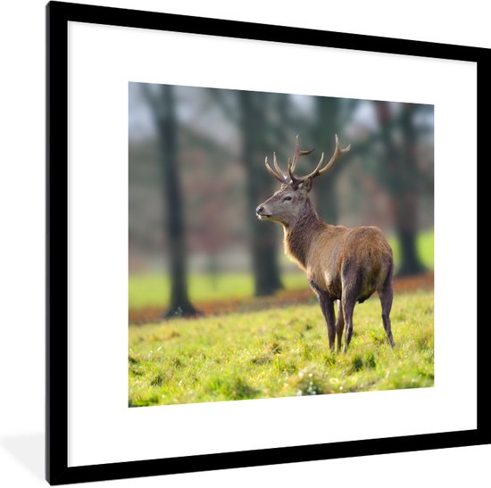 Fotolijst incl. Poster - Edelhert - Weiland - Groen - 40x40 cm ...