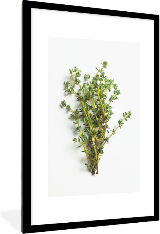 Fotolijst incl. Poster - Bosje van verse tijm kruiden op een witte ...