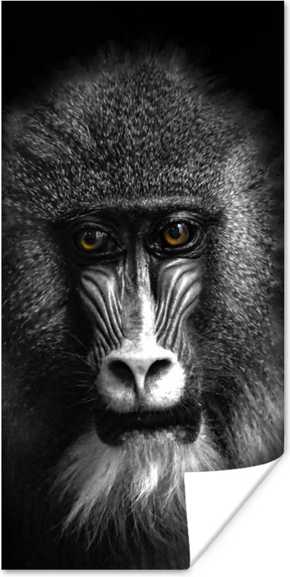Poster Aap - Dieren - Ogen - Bruin - Zwart wit - 80x160 cm | bol