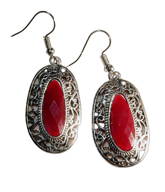 Oorhangers met Rode Steen | bol