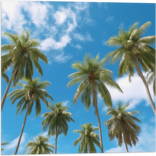 Vlag - Bomen - Palmbomen - Tropisch - Wolken - Kleuren - 50x50 cm Foto ...