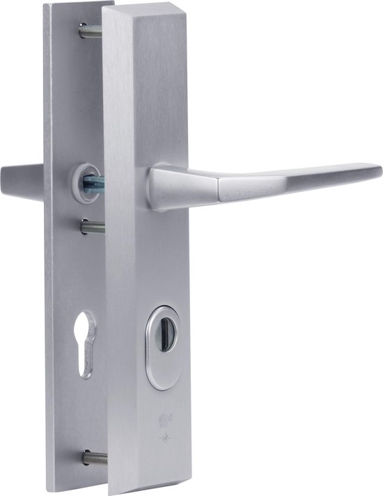 Dieckmann Alpha D7013 F1 - veiligheidsbeslag - PC55 | bol.com