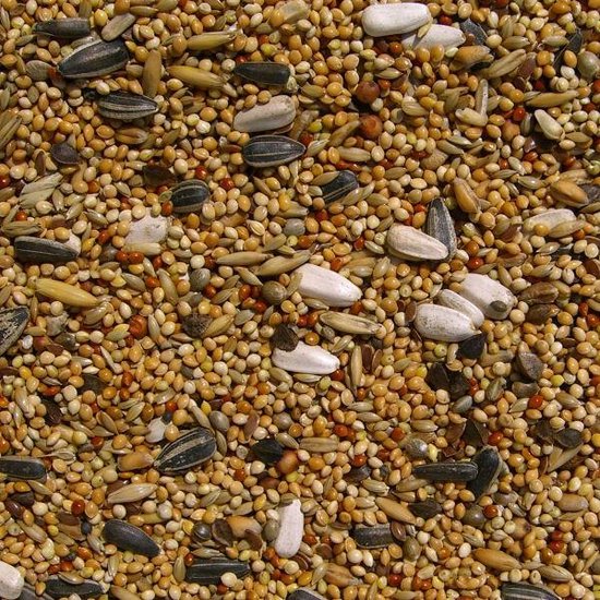 Payaro parkietenzaad grof 4kg | bol.com