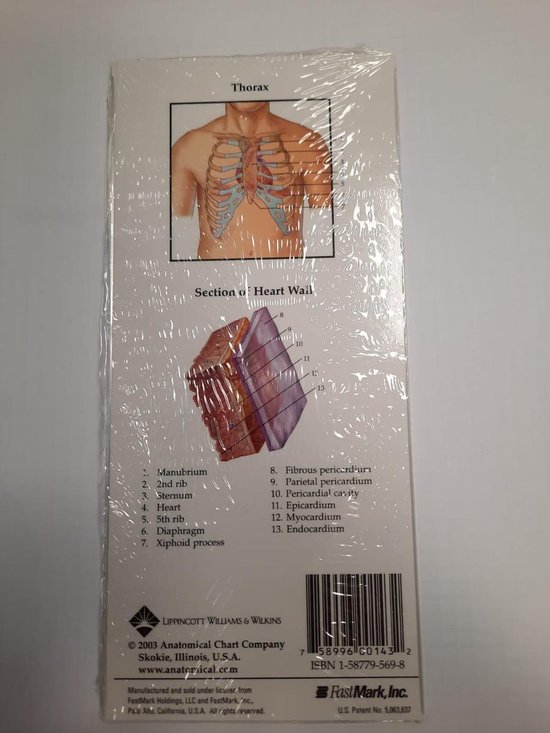 Anatomy of the Heart Study Guide, Lippincott | 0758996001432 | Boeken ...