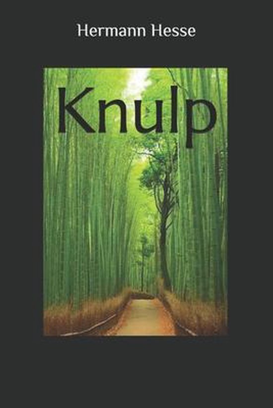Knulp, Hermann Hesse | 9781098766542 | Boeken | bol.com