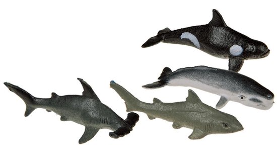 Zeedier bruisbal - Dolfijn - Orka - Walvis - Haai - Oceaan dieren - 3 ...