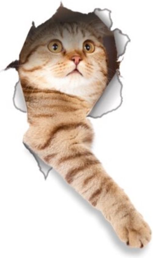 EPIN | WC Sticker | Katten Sticker | Deur Sticker | 3D Vinyl Sticker ...