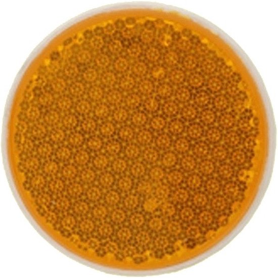 Reflector oranje - Rond 63 mm - Met boutverbinding - Reflectors | bol